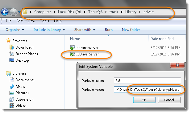 Challenges To Run Selenium Scripts With Ie Browser